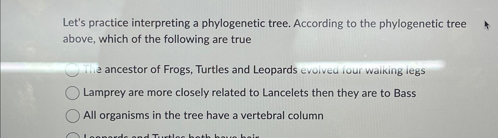 Solved Let's practice interpreting a phylogenetic tree. | Chegg.com