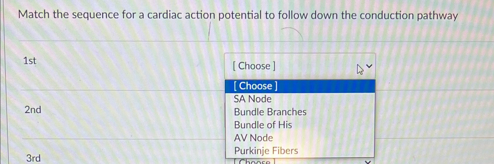 Solved Match the sequence for a cardiac action potential to | Chegg.com