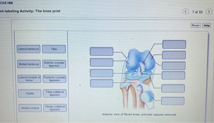 Solved drag the correct label to the appropriate location to | Chegg.com