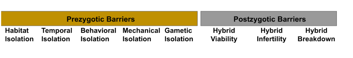 Solved Reproductive Isolation Mechanisms: Use the table to | Chegg.com