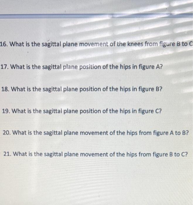 Solved 16. What is the sagittal plane movement of the | Chegg.com