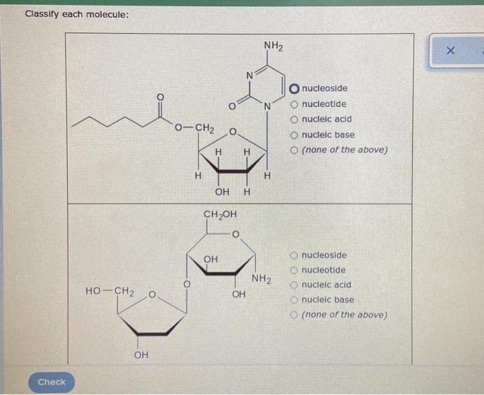 Solved Classify each molecule: NH2 Х N nucleoside O | Chegg.com