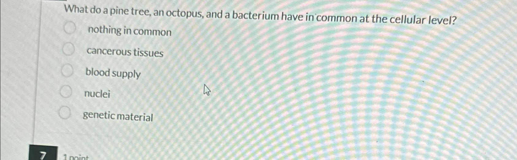 Solved What do a pine tree, an octopus, and a bacterium have | Chegg.com