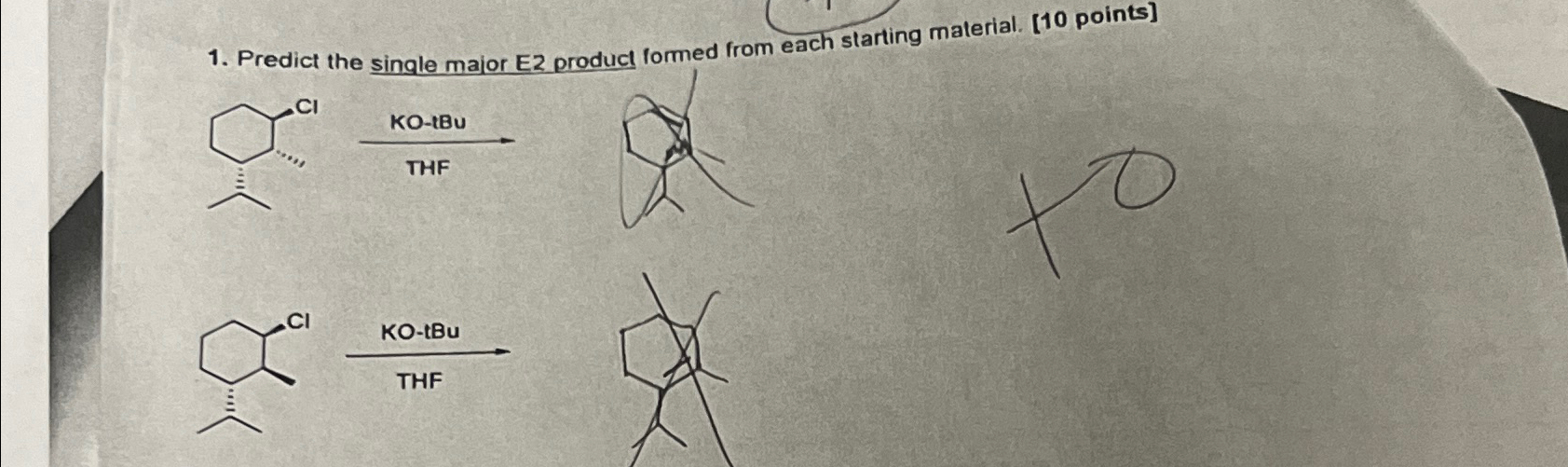 Solved Predict the single major E2 ﻿producl formed from each | Chegg.com