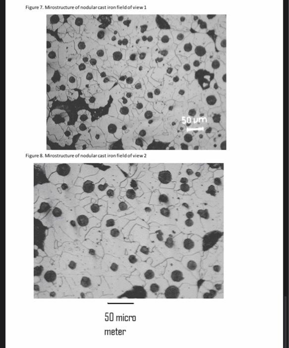 Quantitative Metallography Name Student number | Chegg.com