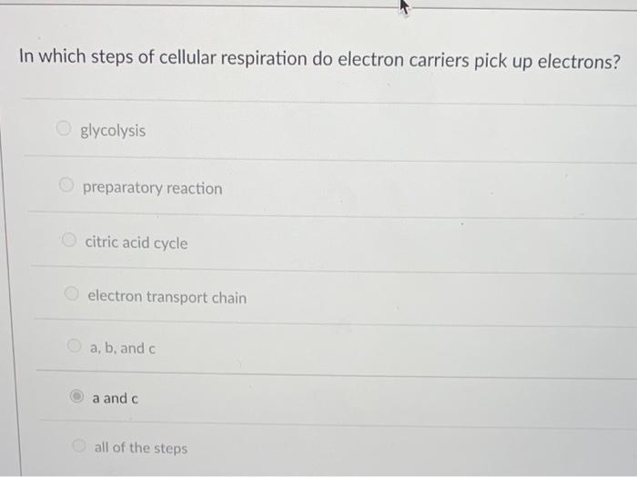 Solved In which steps of cellular respiration do electron | Chegg.com