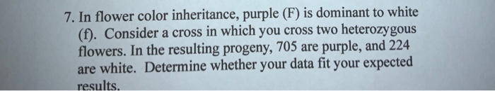 Solved 7. In flower color inheritance, purple (F) is | Chegg.com