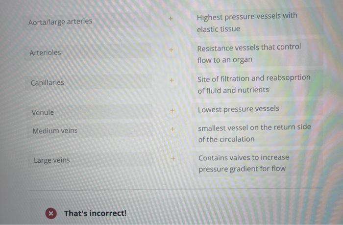 Solved Aorta/large arteries Arterioles Capillaries Venule | Chegg.com