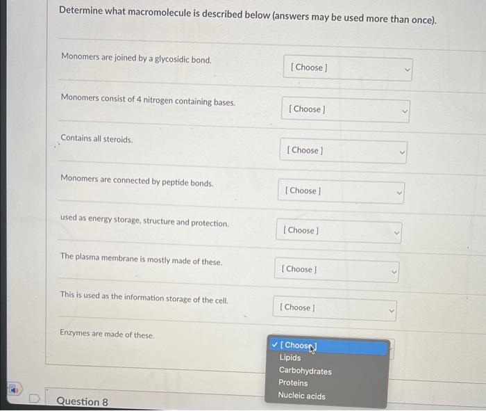 Solved Determine what macromolecule is described below | Chegg.com