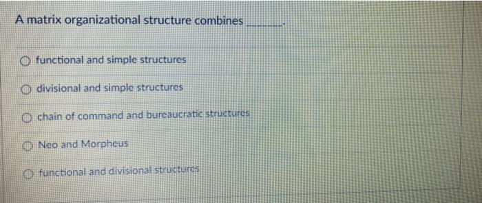 Solved A matrix organizational structure combines O | Chegg.com