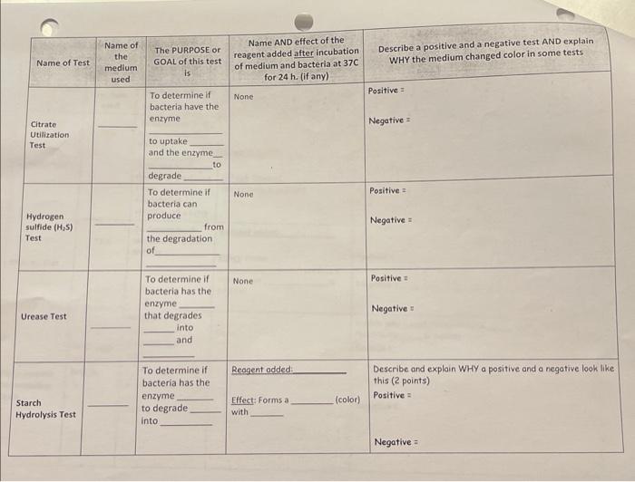 Solved Summarv Biochemical Tests Chart −40 points (each | Chegg.com