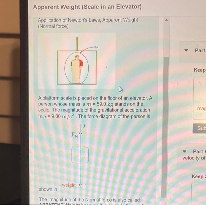 Solved Apparent Weight (Scale in an Elevator) Application of | Chegg.com