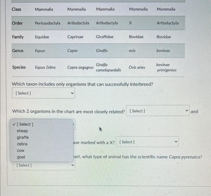 Solved Examine the table showing the classification of 4 | Chegg.com