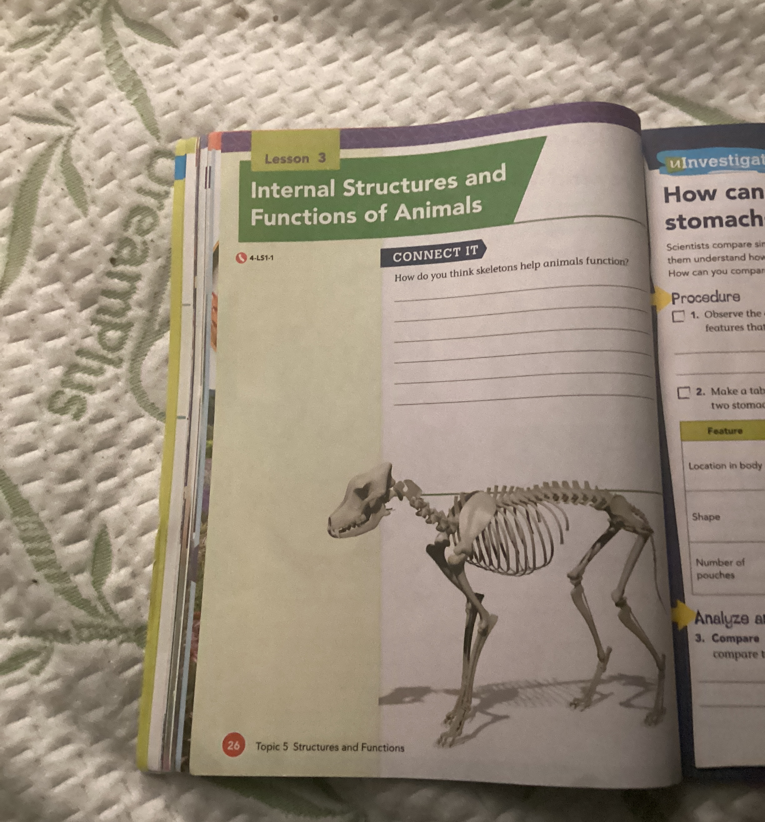 Solved Internal Structures and Functions of AnimalsCONNECT | Chegg.com