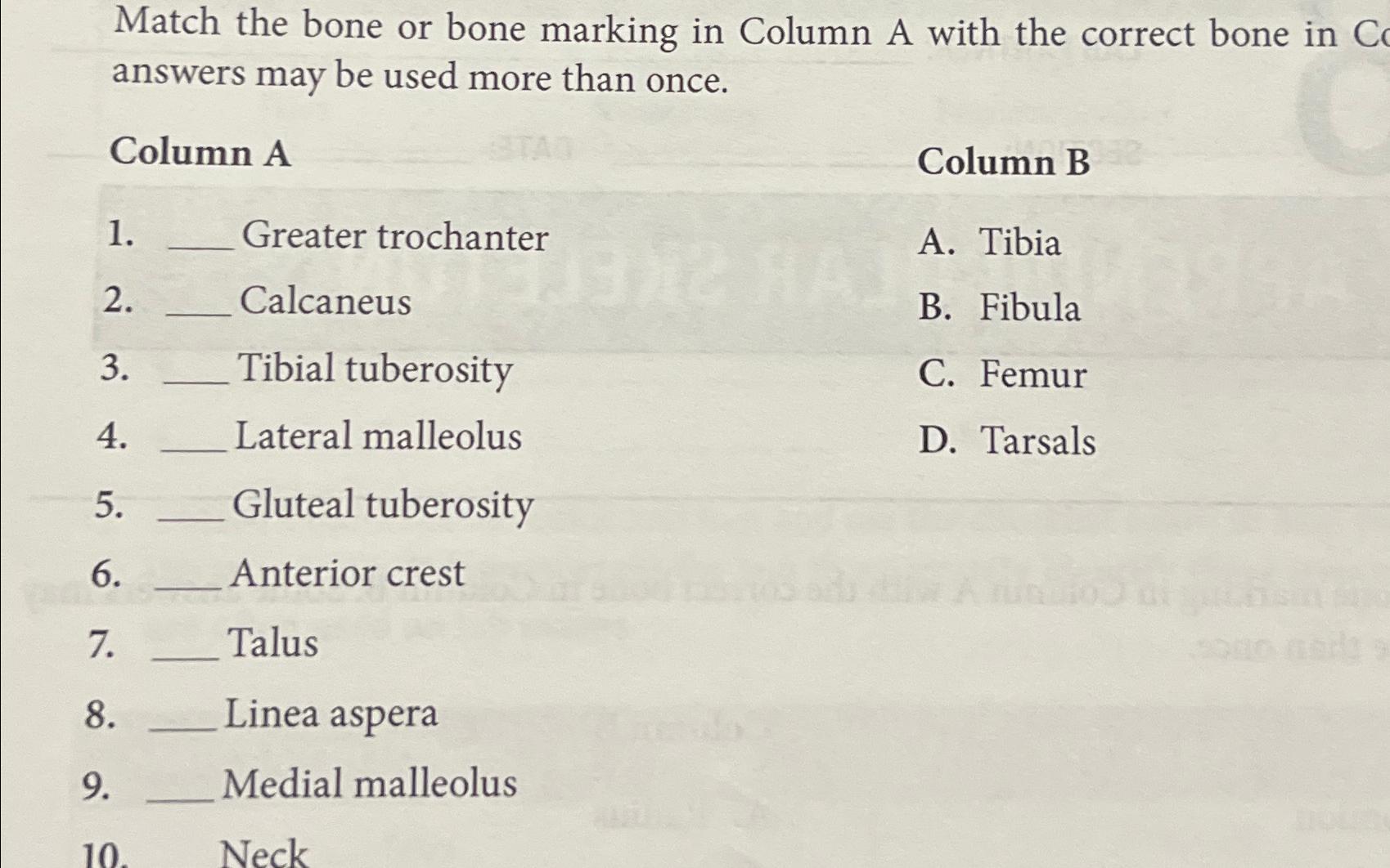 Solved Match the bone or bone marking in Column A with the | Chegg.com