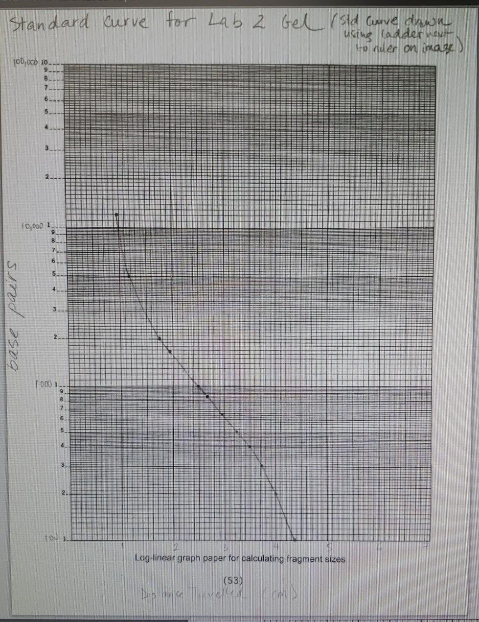 Solved Hi, is page 1 correct based on the standard curve? | Chegg.com