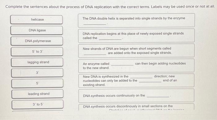 Solved Complete the sentences about the process of DNA | Chegg.com