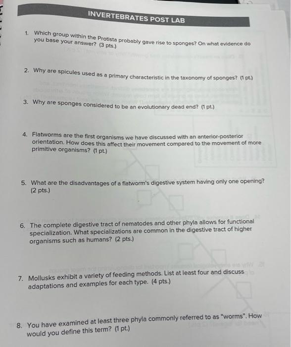 Solved 1. Which group within the Protista probably gave rise | Chegg.com