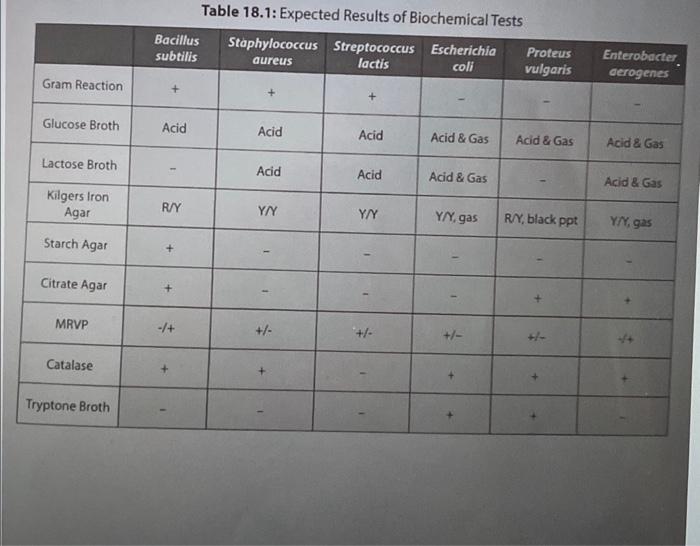 Solved DICHOTOMOUS KEY FLOWCHART; During the unknown | Chegg.com
