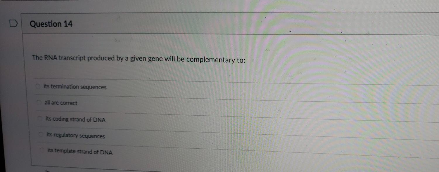 Solved Question 14 The RNA transcript produced by a given | Chegg.com