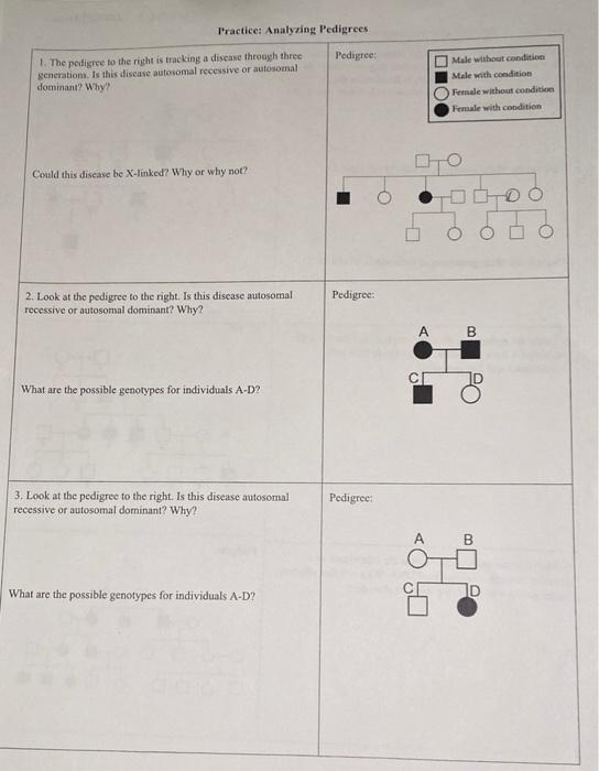 Solved Practice: Analyzing Pedigrees Pedigree: 1. The | Chegg.com