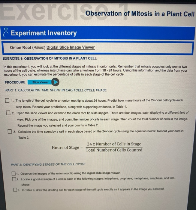 Solved Mitosis EXERCISE 1: OBSERVATION OF MITOSIS IN A PLANT | Chegg.com