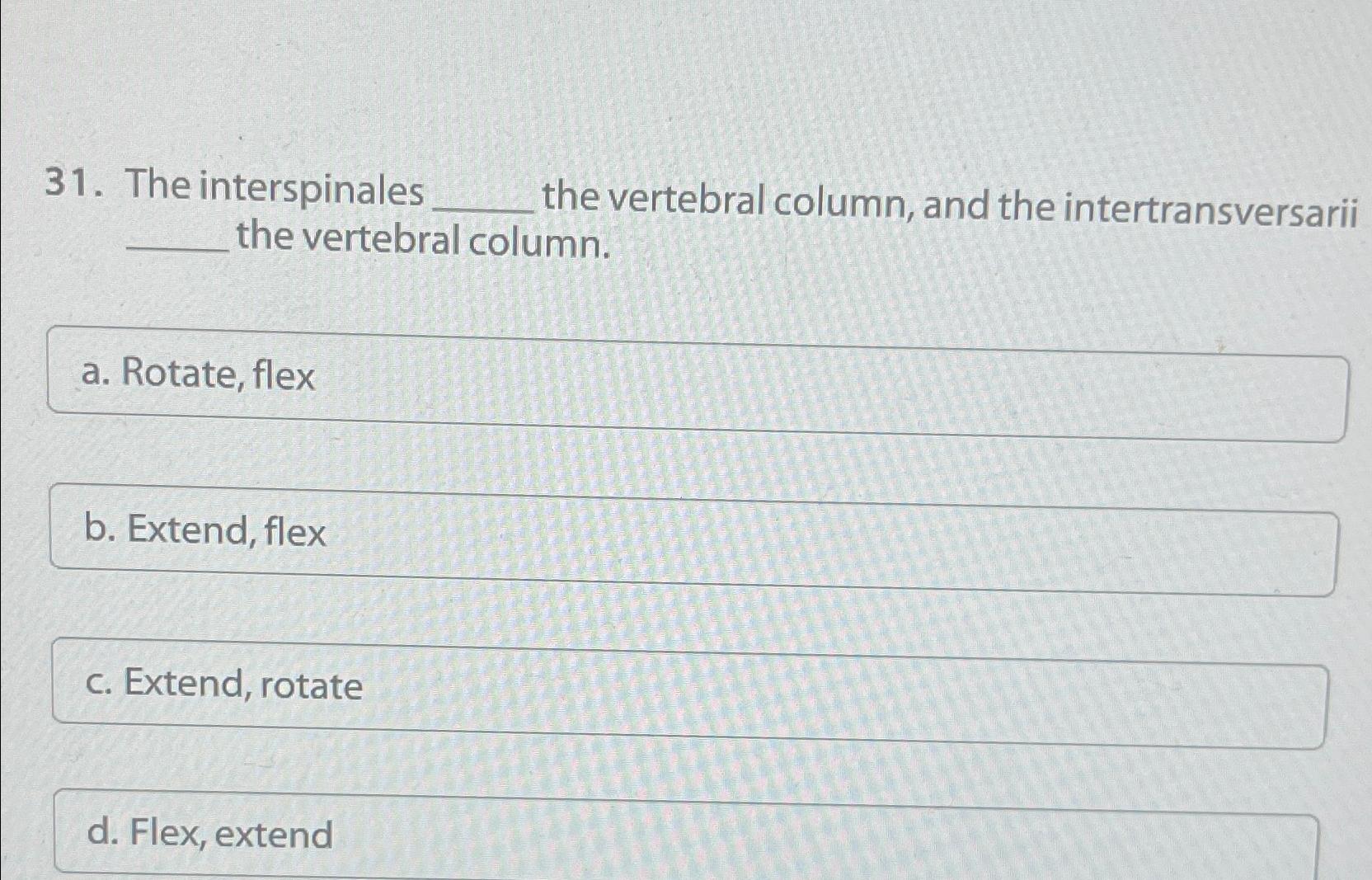 Solved The interspinales the vertebral column, and the | Chegg.com