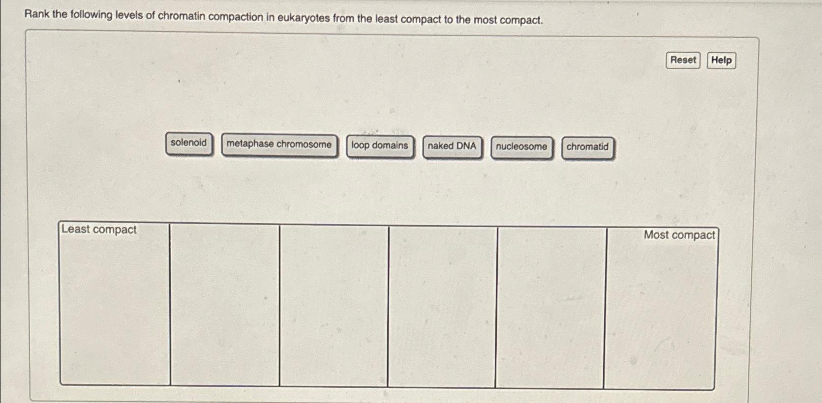 Solved Rank the following levels of chromatin compaction in | Chegg.com