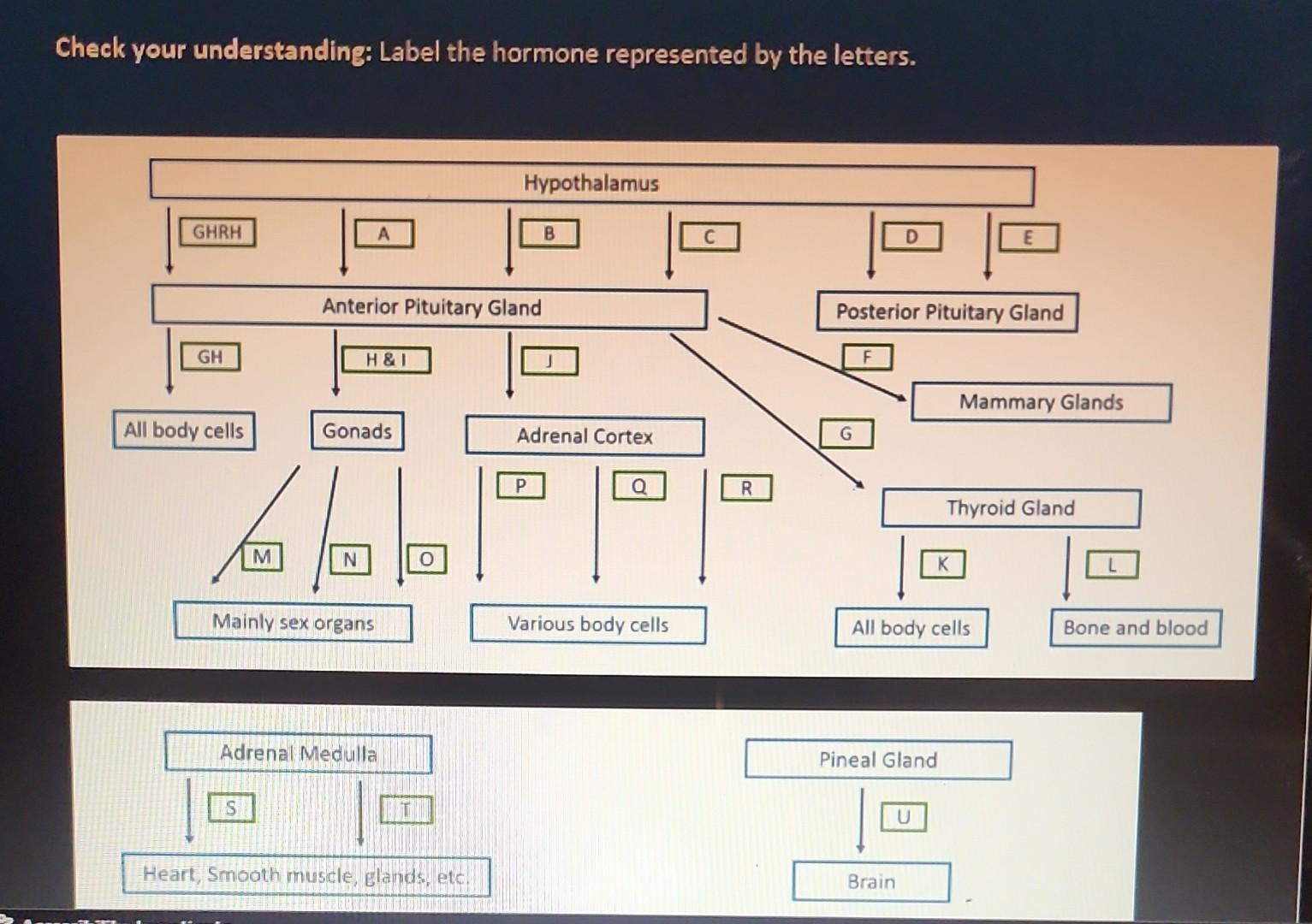 Solved Check your understanding: Label the hormone | Chegg.com