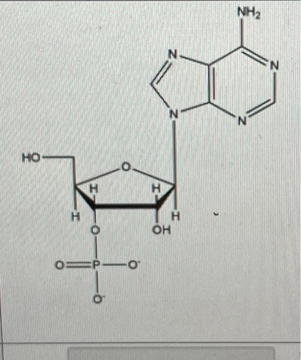 Solved name this molecule | Chegg.com