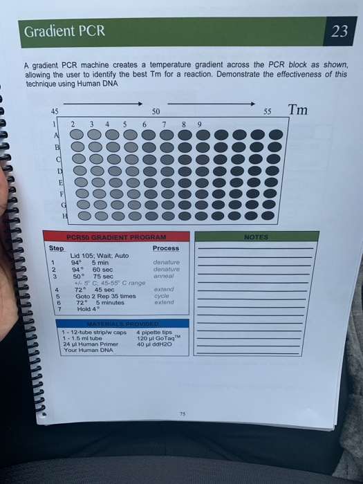 Solved Gradient PCR 23 A gradient PCR machine creates a | Chegg.com