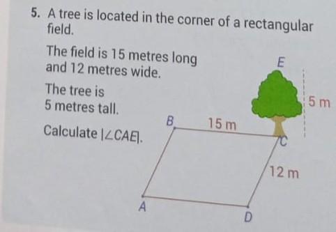 Solved 5. A tree is located in the corner of a rectangular | Chegg.com