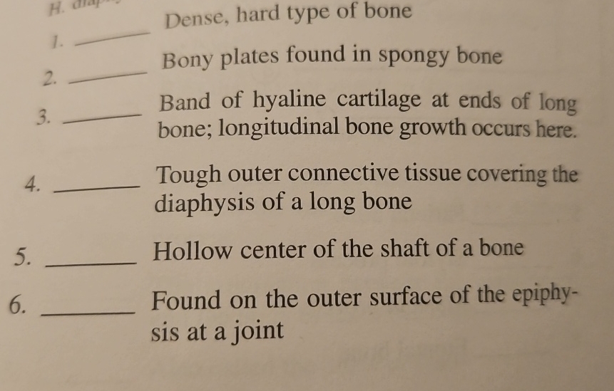Solved 1 . q, ﻿Dense, hard type of bone2. ﻿Bony plates | Chegg.com