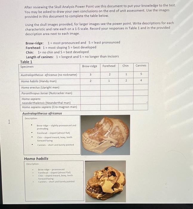 Solved I After reviewing the Skull Analysis Power Point use | Chegg.com