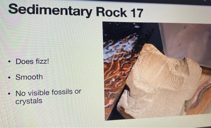 Name SEDIMENTARY ROCKS STUDY SHEET Components | Chegg.com