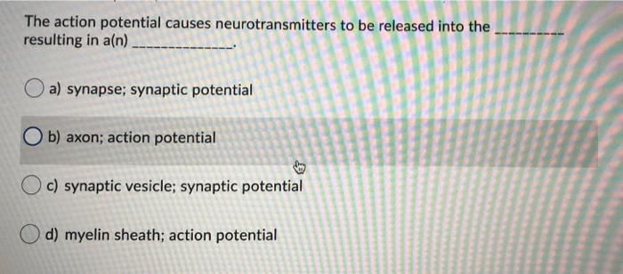Solved The action potential causes neurotransmitters to be | Chegg.com