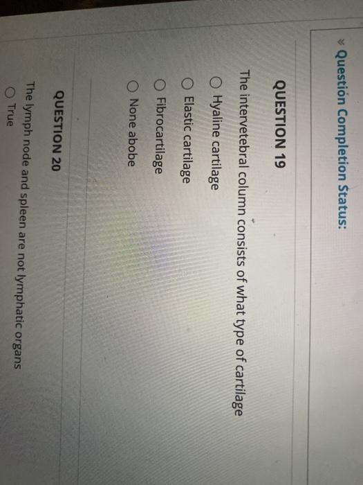 Solved Questión Completion Status: QUESTION 19 The | Chegg.com