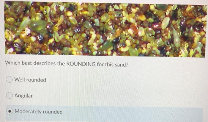 Solved Which best describes the ROUNDING for this sand? Well | Chegg.com