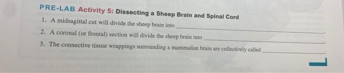 Solved ul these is correct. PRE-LAB Activity 3: Identifying | Chegg.com