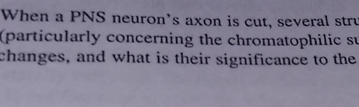 When a PNS neuron's axon is cut, several stri | Chegg.com