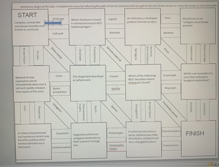Solved Directions: Begin at the start. Complete the maze by | Chegg.com