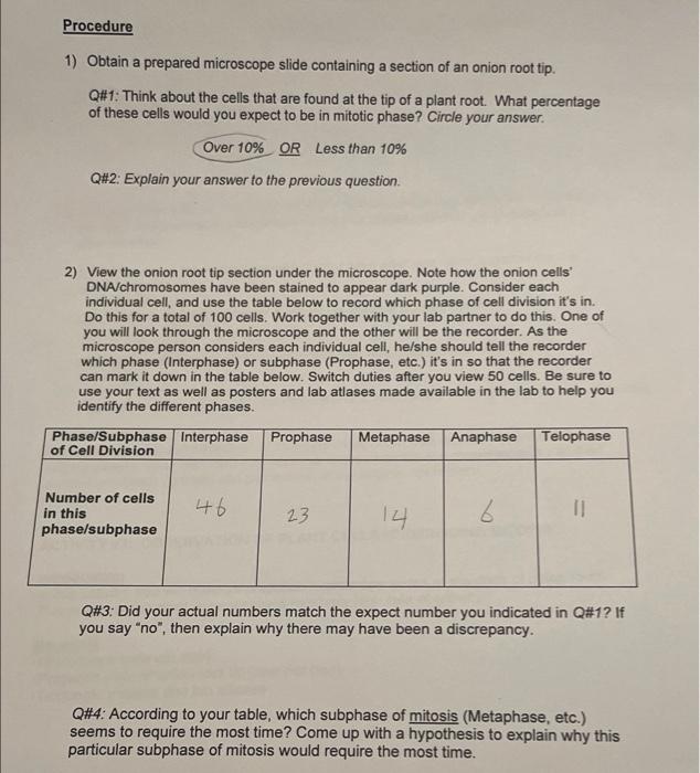 Solved Procedure 1) Obtain a prepared microscope slide | Chegg.com