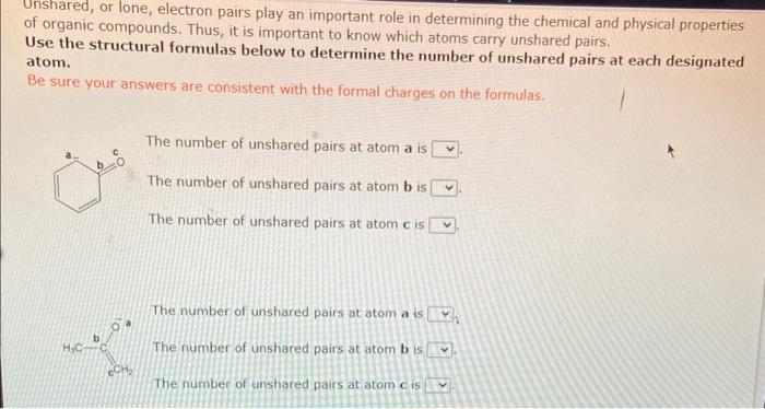 Solved Unshared, or lone, electron pairs play an important | Chegg.com