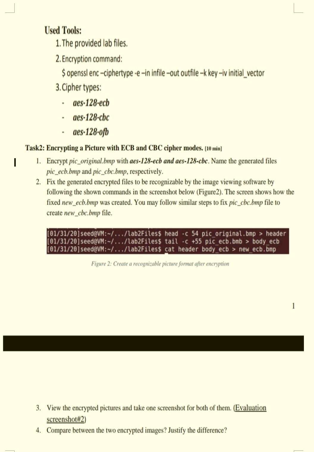 Solved Used T00ls: 1. The provided lab files. 2. Encryption | Chegg.com