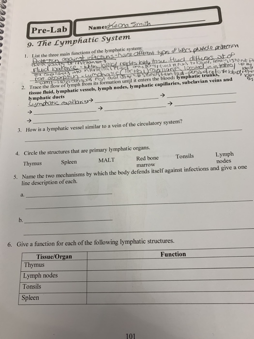 Solved 2222 Pre-Lab Namezheona Smith 9. The Lymphatic System | Chegg.com