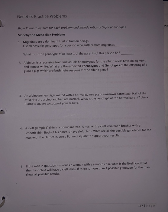 Solved Genetics Practice Problems Show Punnett Squares for | Chegg.com ...