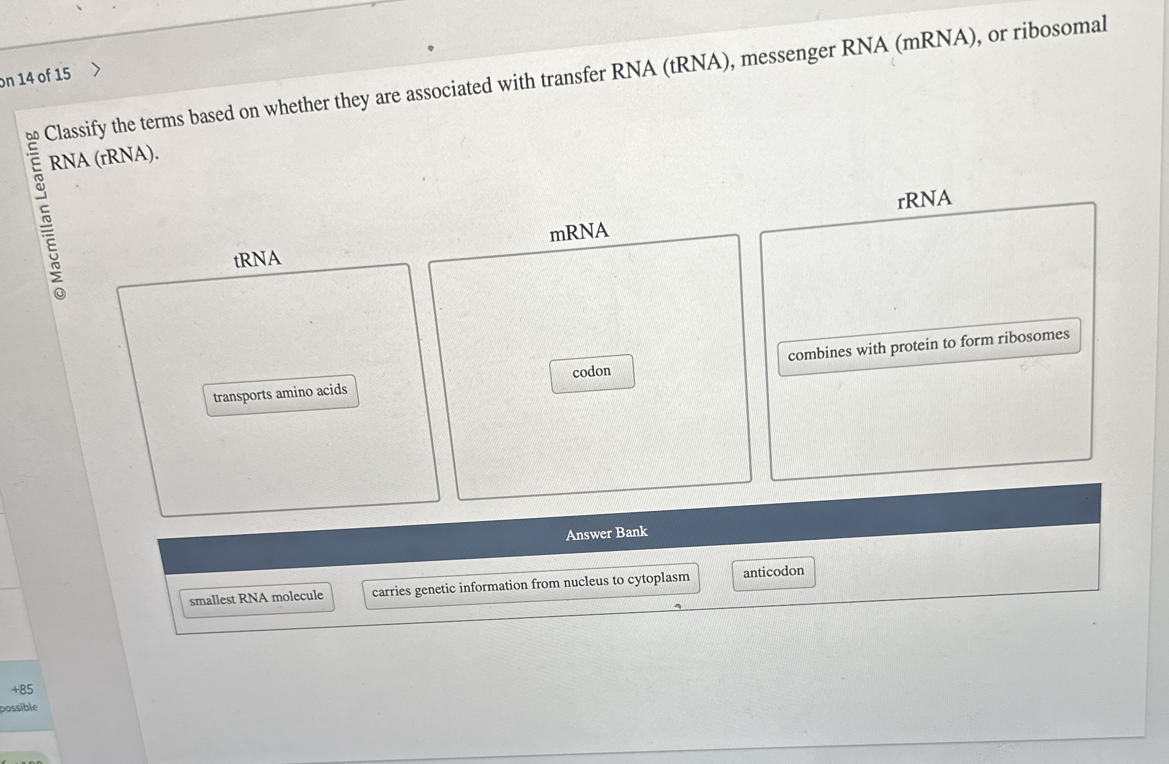 High Quality SOLUTION on 14 ﻿of 15?0∞ ﻿Classify the terms based on whether | Chegg.com