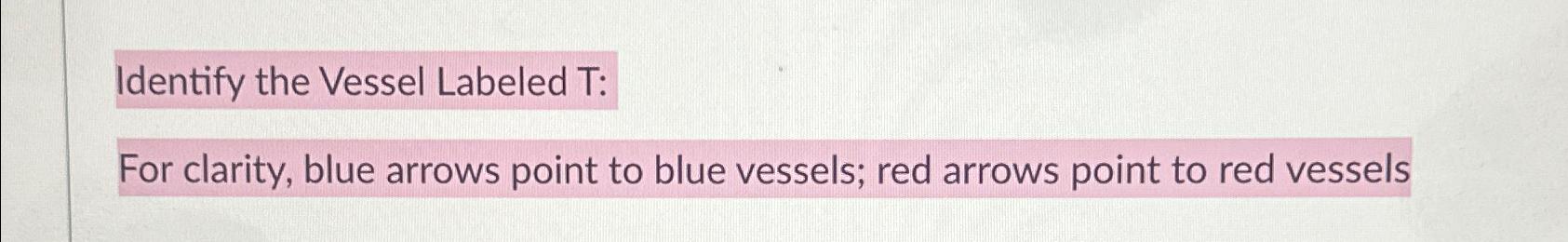 Solved Identify the Vessel Labeled T:For clarity, blue | Chegg.com