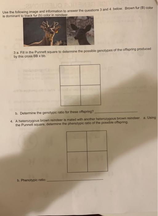 Solved PRACTICE GENETICS QUESTIONS: 1. Use the diagram below | Chegg.com