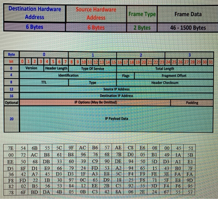 Solved Destination Hardware Address Source Hardware Address | Chegg.com